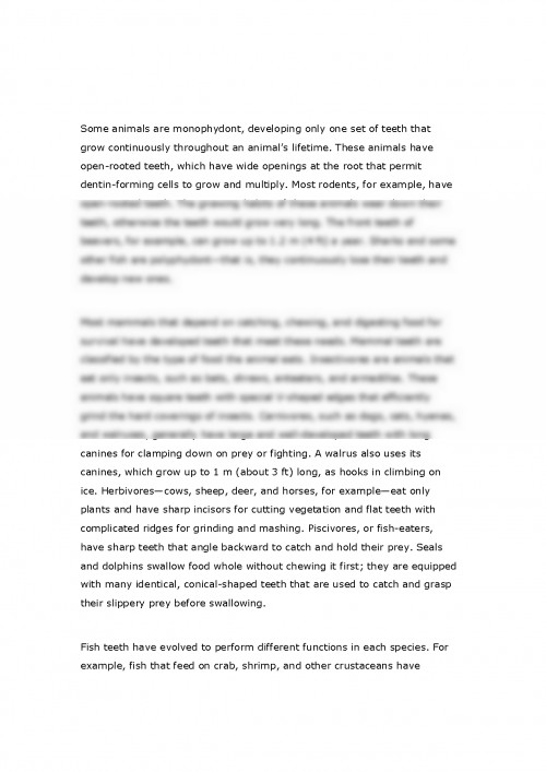 Referat: Teeth Hard Bony Structures (#329552)