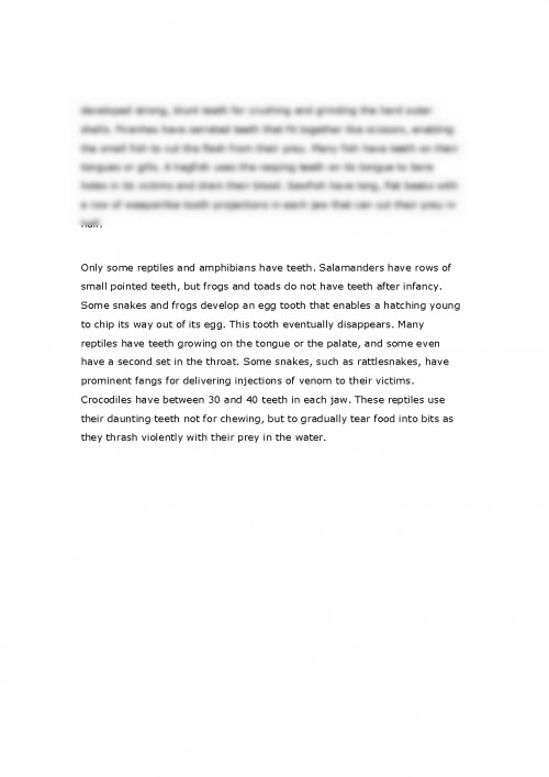 Referat: Teeth Hard Bony Structures (#329552)