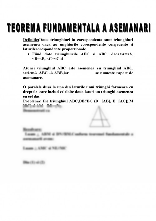 Referat: Teorema lui Tales (#330444)