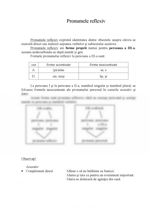 Referat: Pronumele Reflexiv (#330870)
