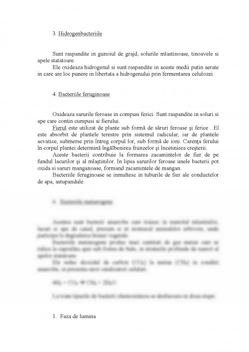 Referat: Chemosinteză (#331031)