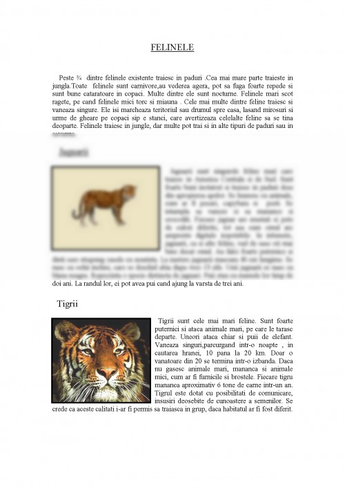 Referat: Felinele (#331080)