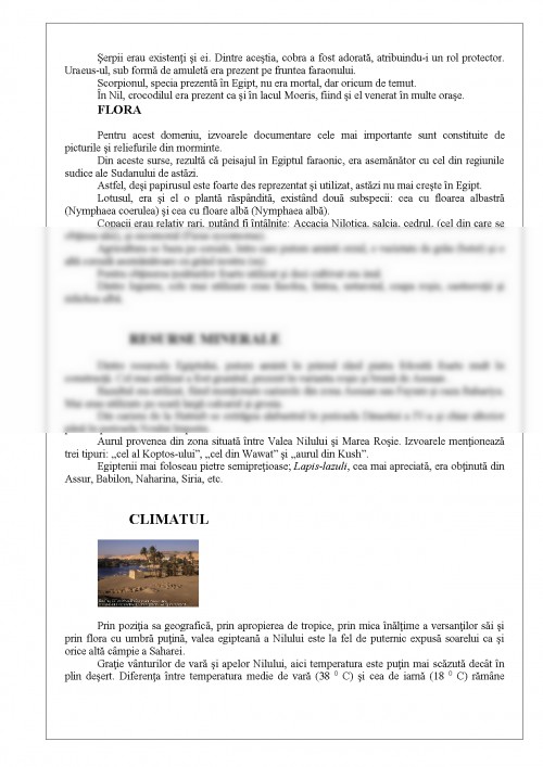 Referat: Egiptul antic (#333155)