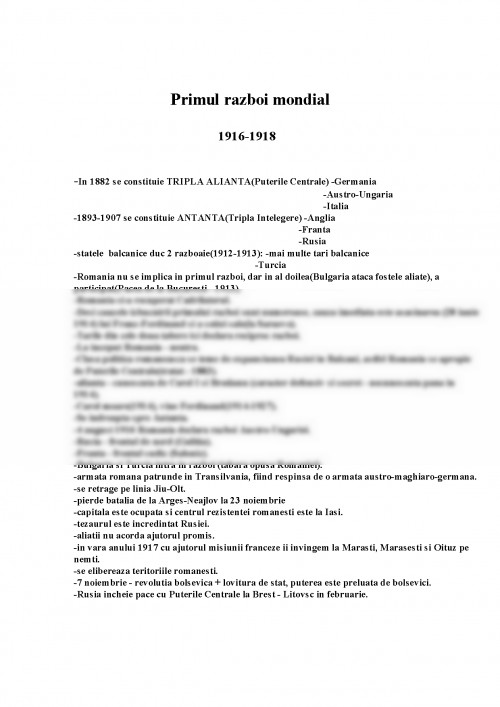 Referat: Rezumat la primul război mondial (#333371)