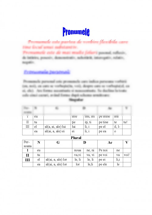 Referat: Pronumele (#334520)