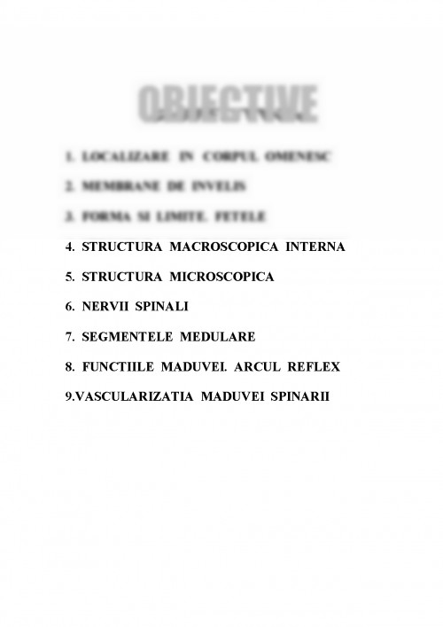 Referat: Măduva spinării (#334806)