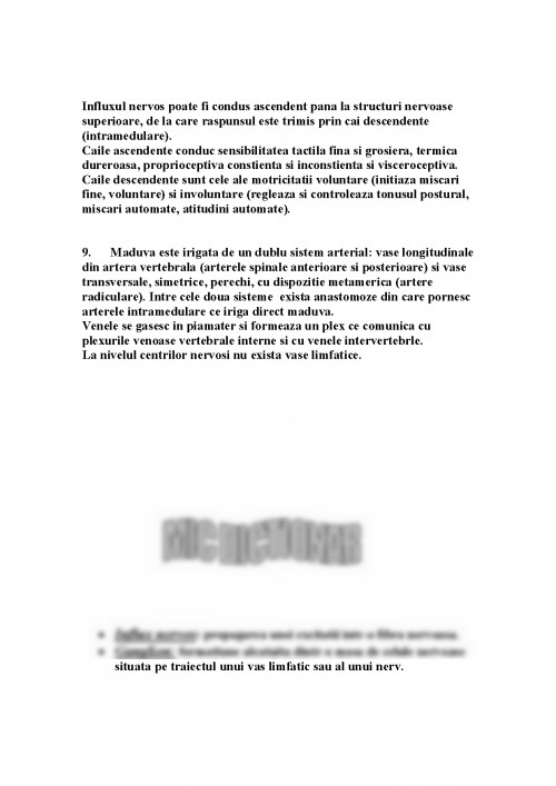 Referat: Măduva spinării (#334806)