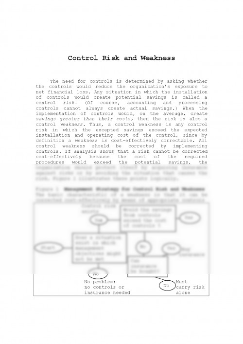 Referat: Control Risk And Weakness (#335966)