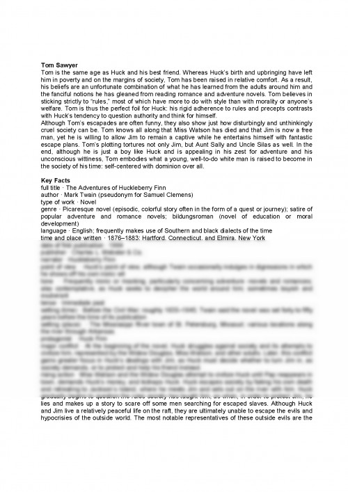 Referat: Huckleberry Finn Analysis Plot Overview (#336052)