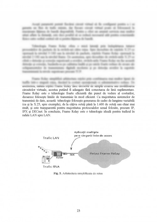 Referat: Protocoale Frame Relay (#336969)