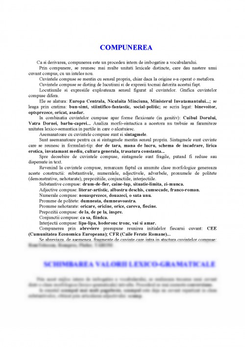 Referat: Familia lexicală derivare compunere (#338231)