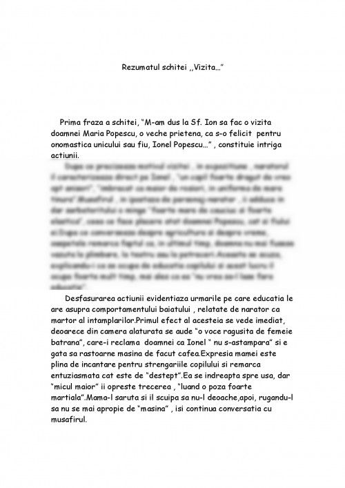 Referat: Vizită rezumat (#338777)