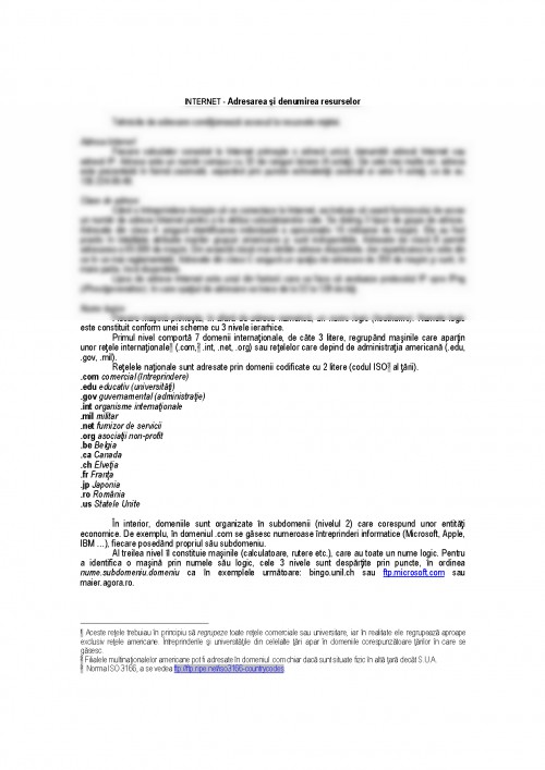 Referat: Internet - adresarea și denumirea resurselor (#339239)