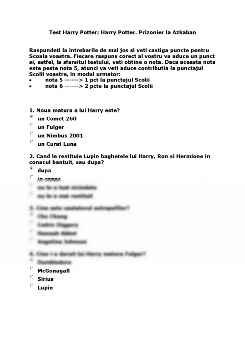 Referat: Chestionar (#339253)