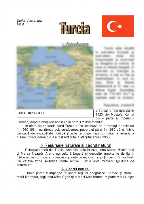 Referat: Turcia (#340470)
