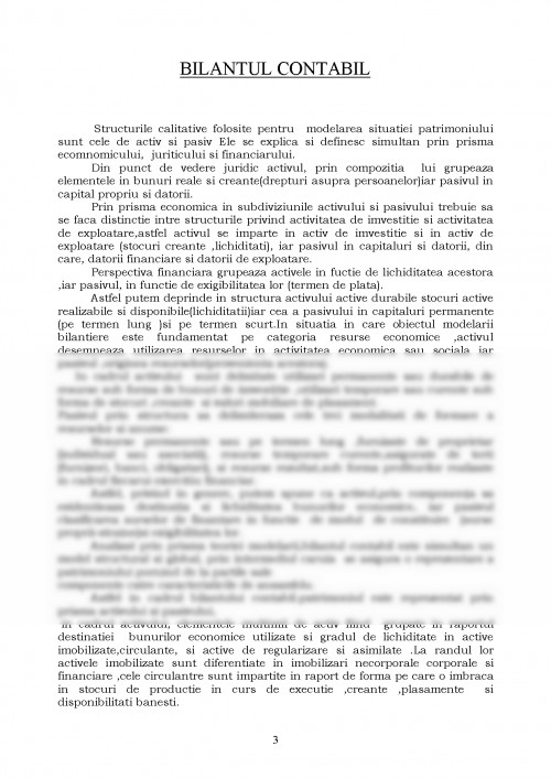 Referat: Bilanțul contabil, contul de profit și pierdere (#348736)