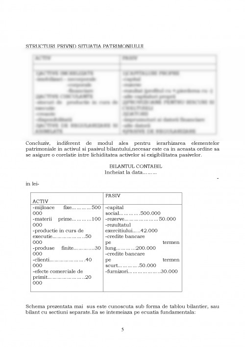 Referat: Bilanțul contabil, contul de profit și pierdere (#348736)