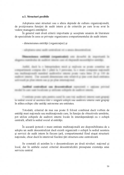 Referat: Audit Intern (#348892)