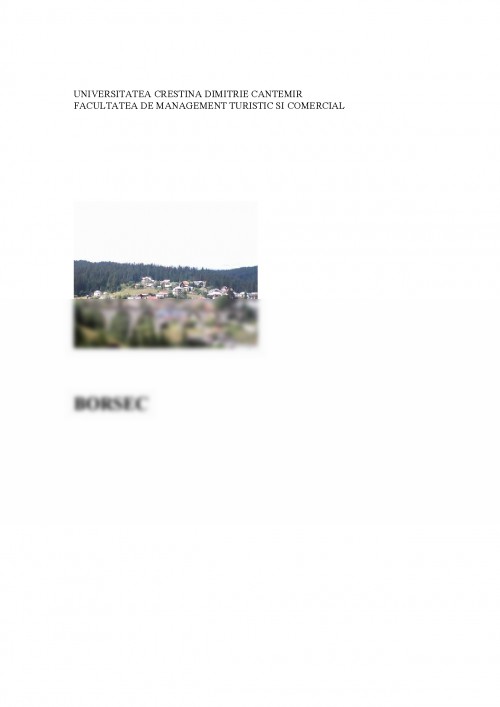 Referat: Orașul Borsec (#349402)