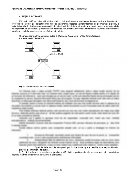 Referat: Internet Intranet (#349581)