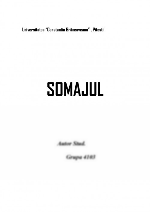 Referat: Șomajul (#349729)