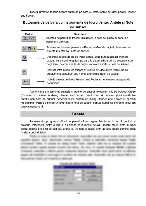 Referat: Microsoft Word (#349755)