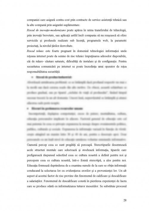 Referat: Managementul Riscului în Afaceri (#350433)