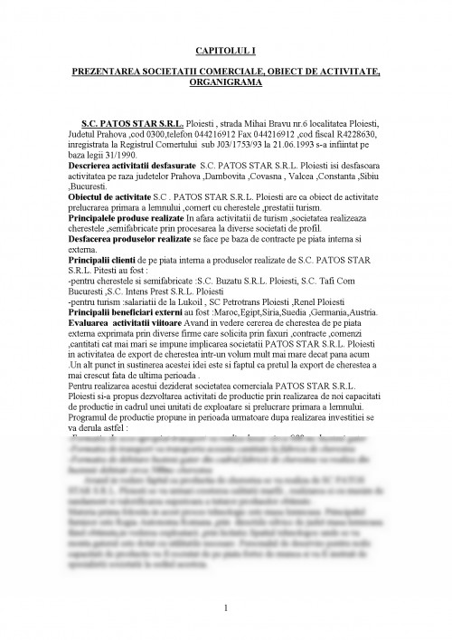 Referat: Proiect practică (#352445)