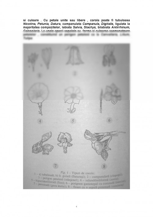 Referat: Morfologia și Anatomia Florii la Angiosperme (#352898)