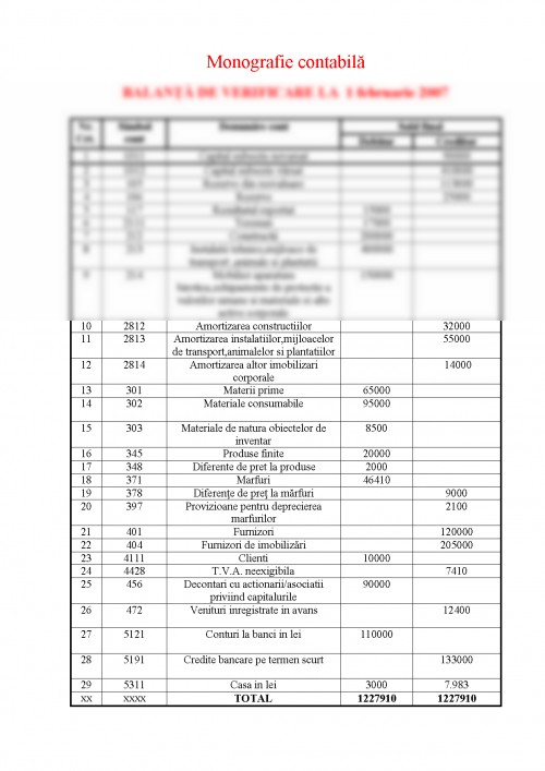 Referat: Monografie Contabilă (#352983)