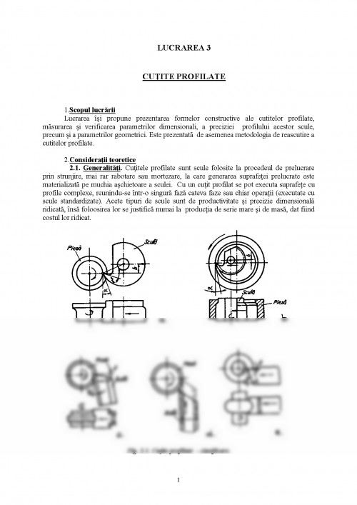 Laborator: Cuțite Profilate (#354147)
