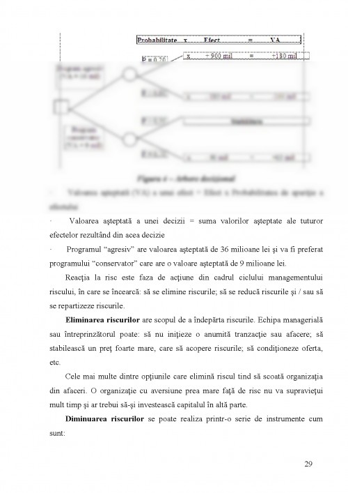 Referat: Evaluarea riscului prin planificarea strategică (#354650)
