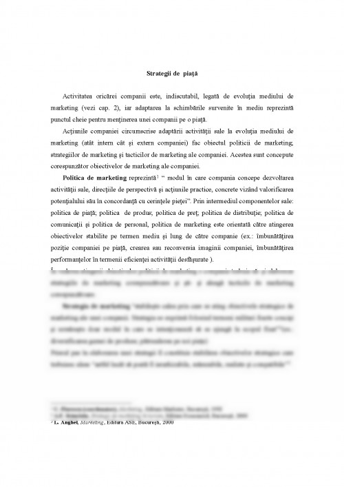 Referat: Strategii de Piață (#354890)