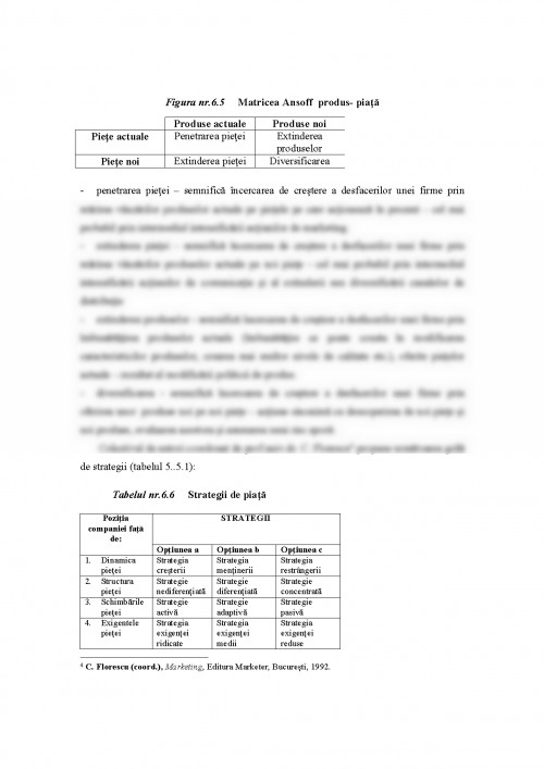 Referat: Strategii de Piață (#354890)