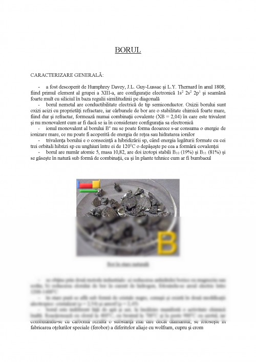 Referat: Borul (#354963)