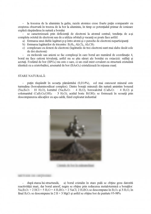 Referat: Borul (#354963)