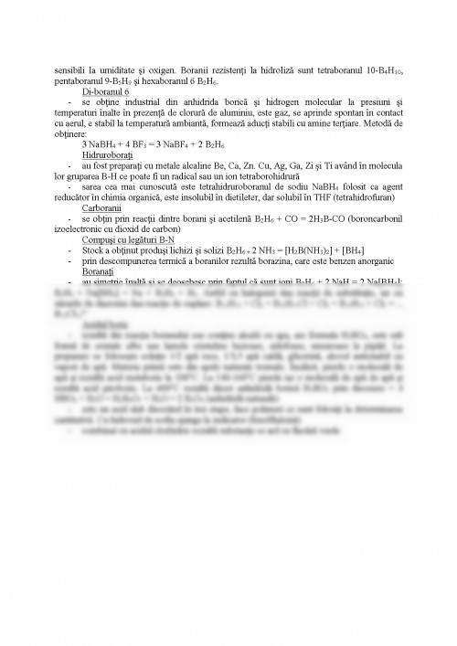 Referat: Borul (#354963)