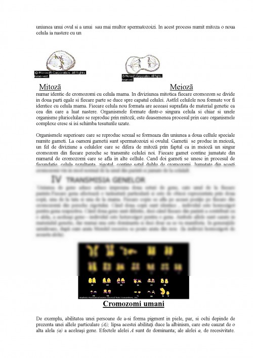 Referat: Genetică (#355353)