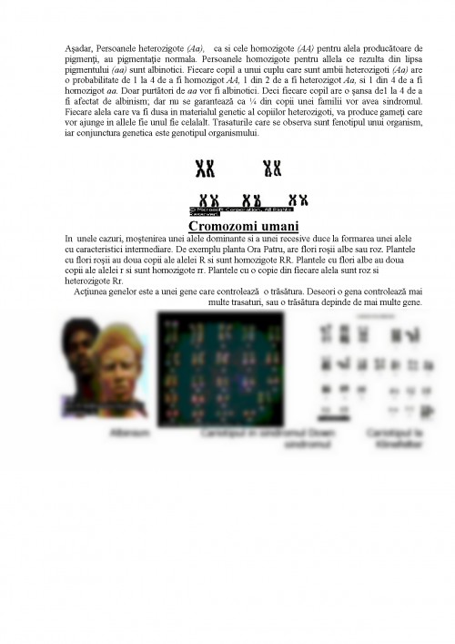 Referat: Genetică (#355353)