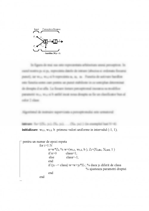 Laborator: Rețele Neuronale (#356790)