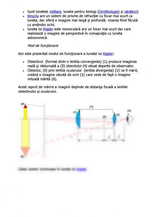 Referat: Luneta (#357021)