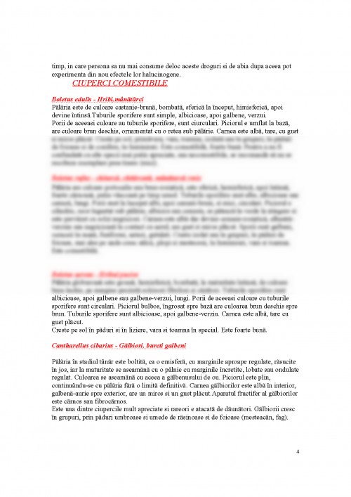 Referat: Ciupercile (Regnul Fungi) (#358439)