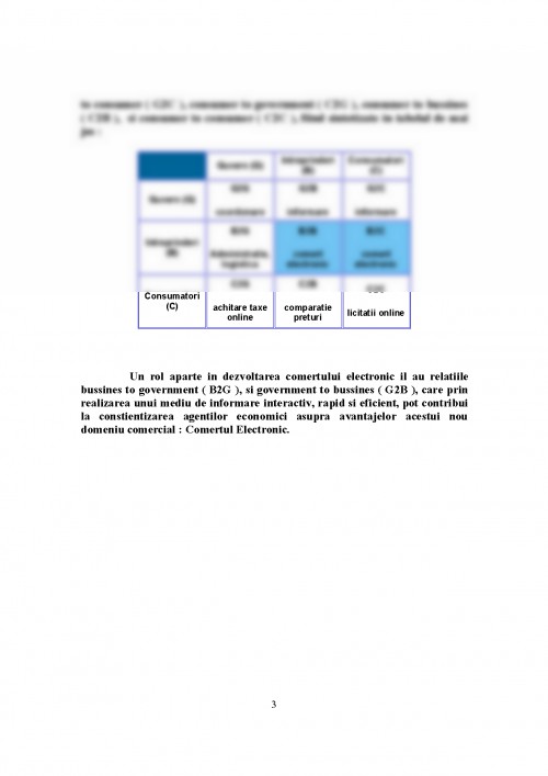 Referat: Ce este comerțul electronic (#358691)