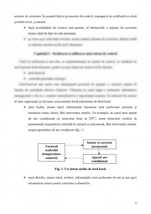Referat: Controlul Organizației (#359158)