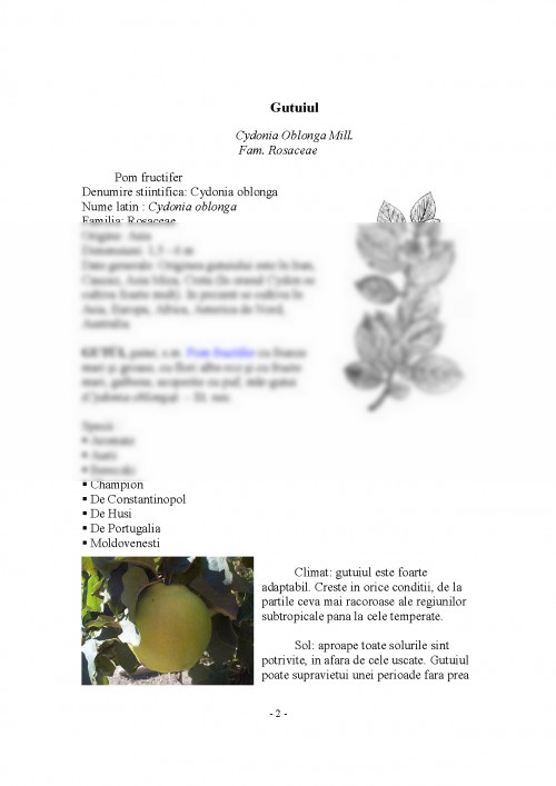 Referat: Gutuiul (#359644)