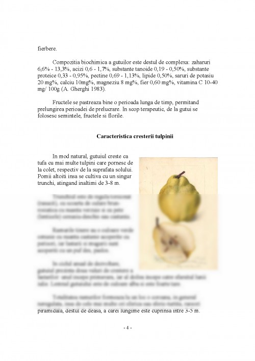 Referat: Gutuiul (#359644)