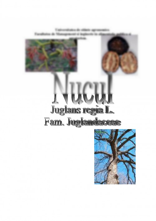 Referat: Nucul (#359649)
