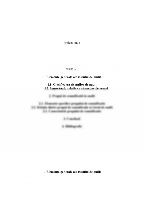 Referat: Proiect Audit (#360148)
