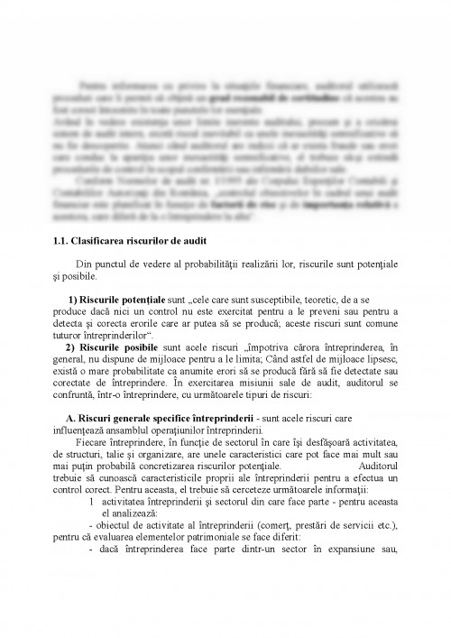 Referat: Proiect Audit (#360148)