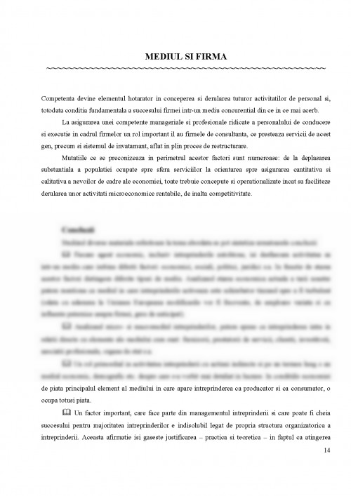Referat: Mediul și firma (#364010)